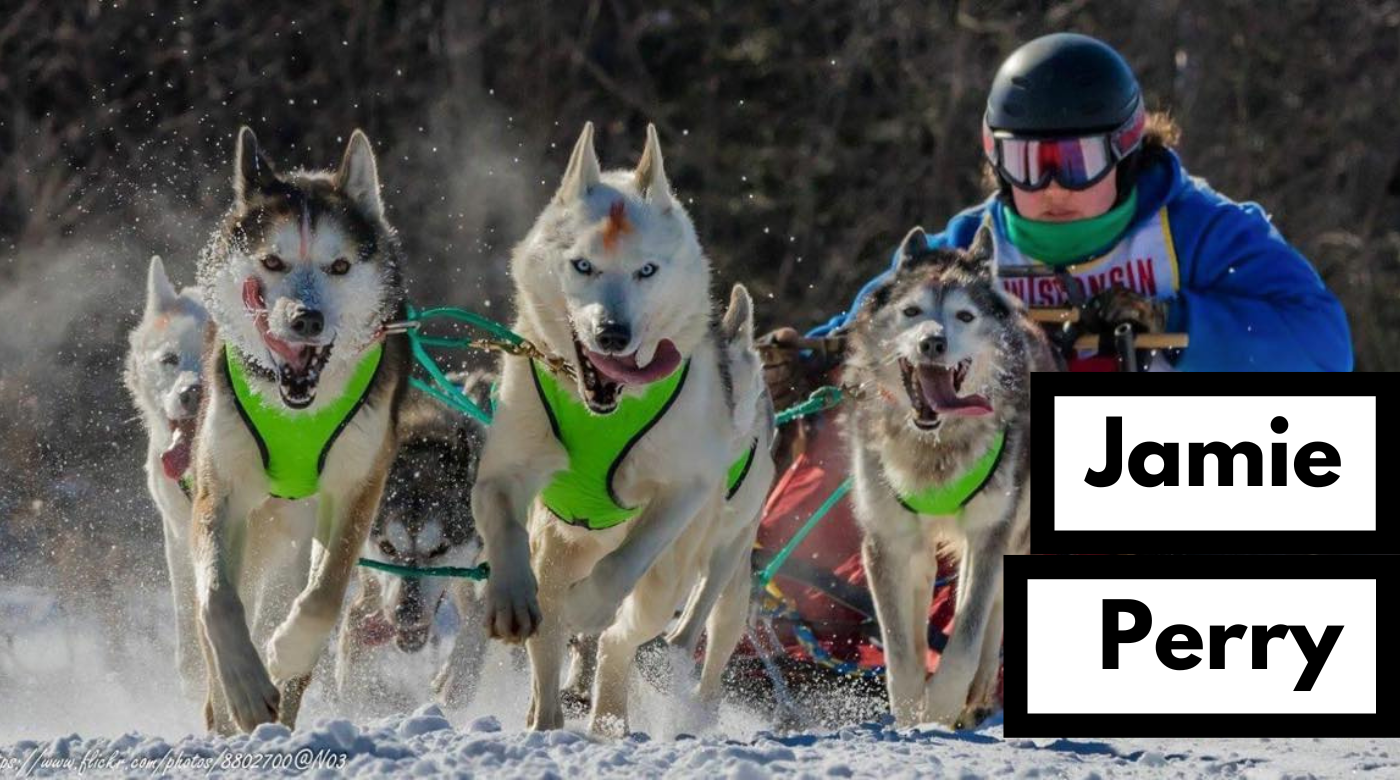 Jamie Perry – First Paw Media